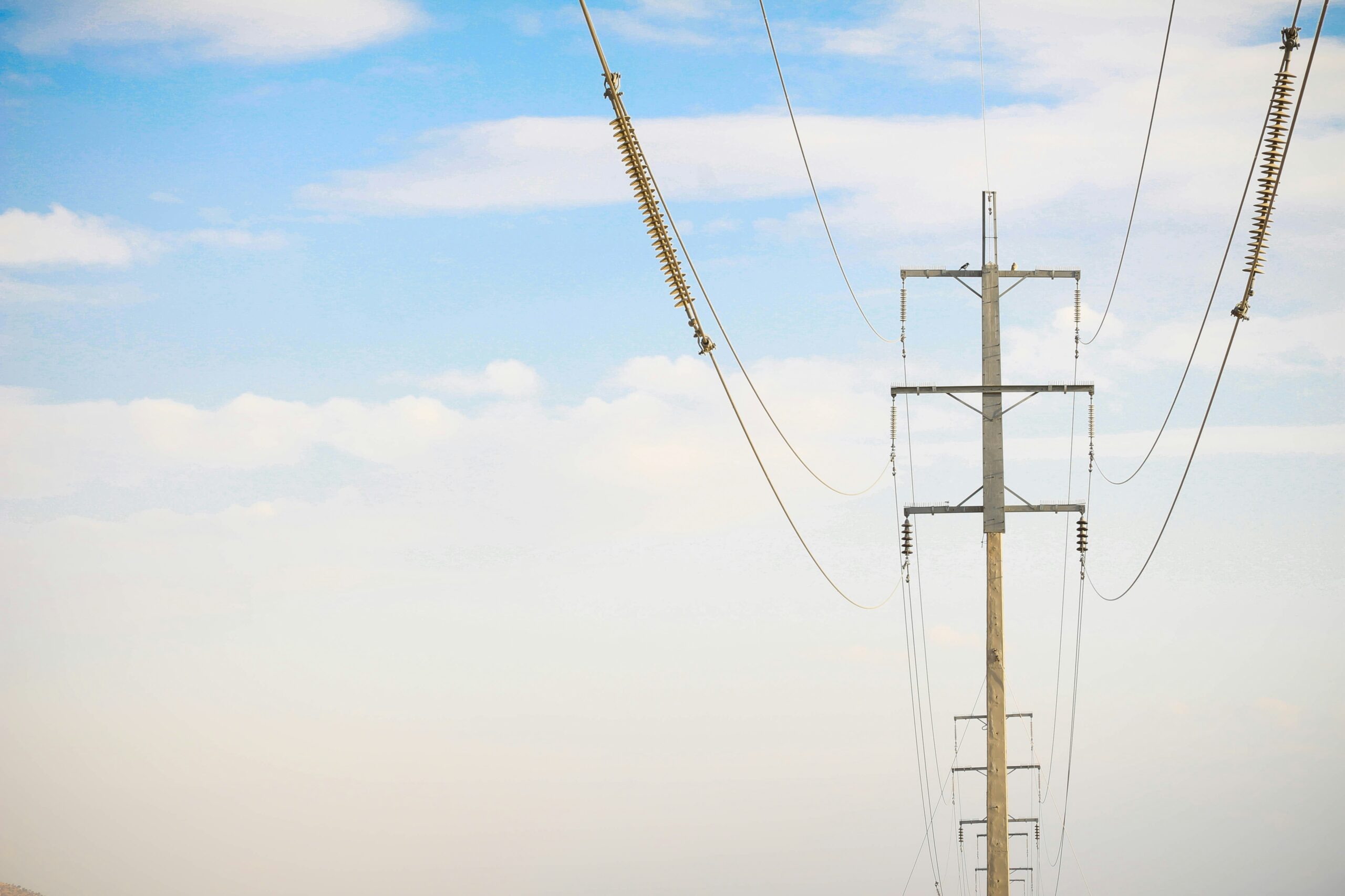 2025 Challenges & Priorities in the Utility Industry - Ramey Agency